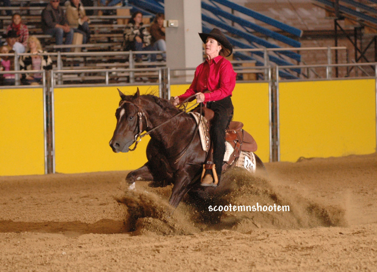 Reining Essential 5 – Troubleshooting Whoa | Be Unstoppable