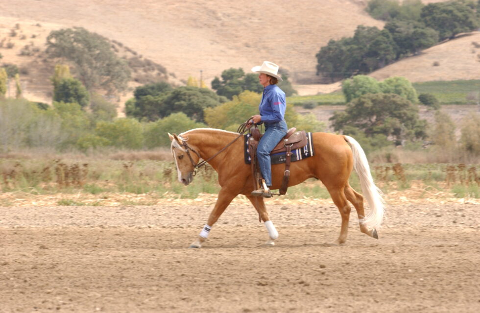 Fixing Your Horse’s Natural Asymmetry (Part 1) | Be Unstoppable